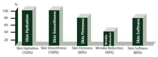 MFIII of Switzerland - VP Softgels Advanced Formula (1 box = 30 ...
